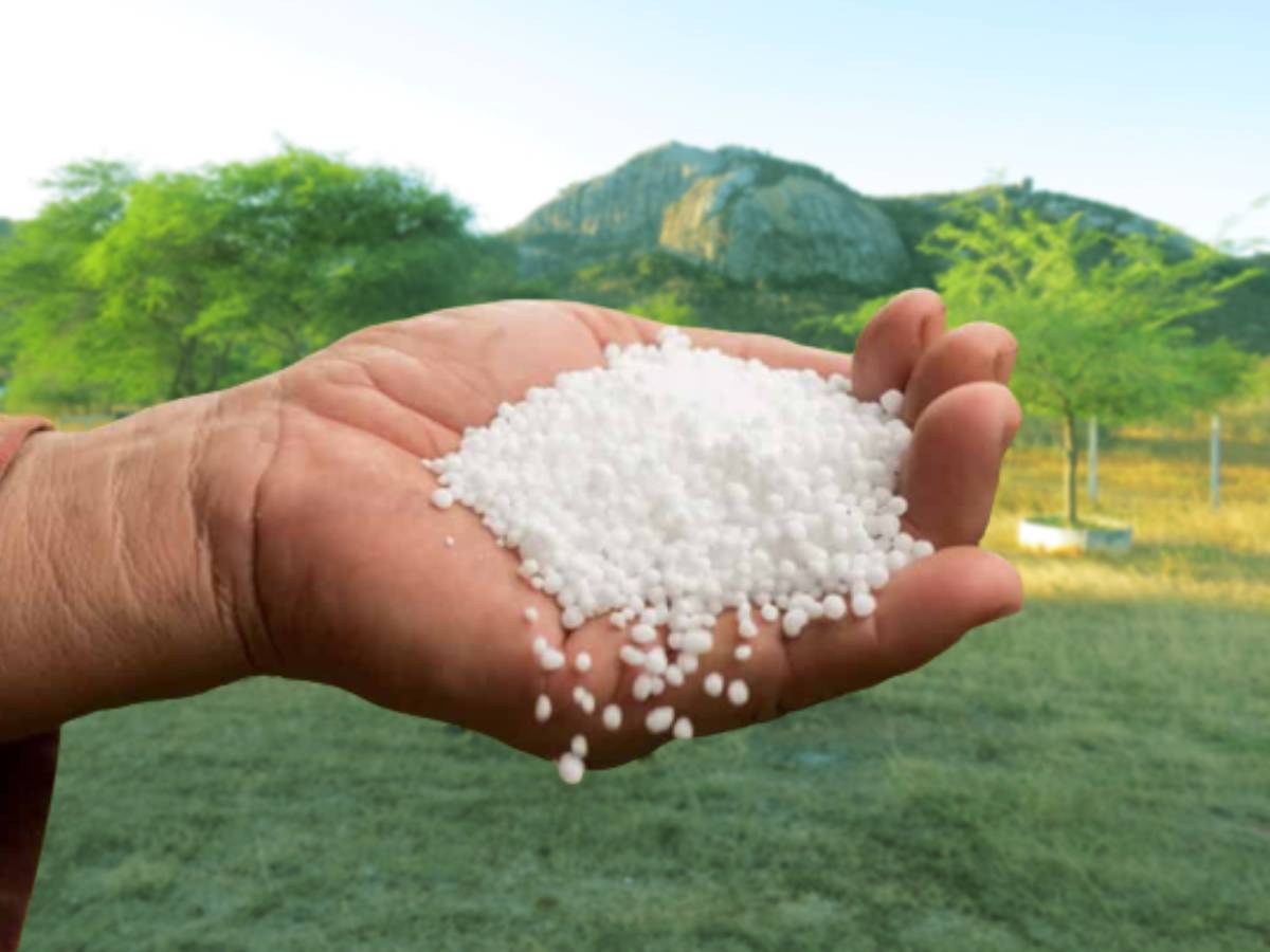 Ureia Agrícola - Fazenda Boqueirão